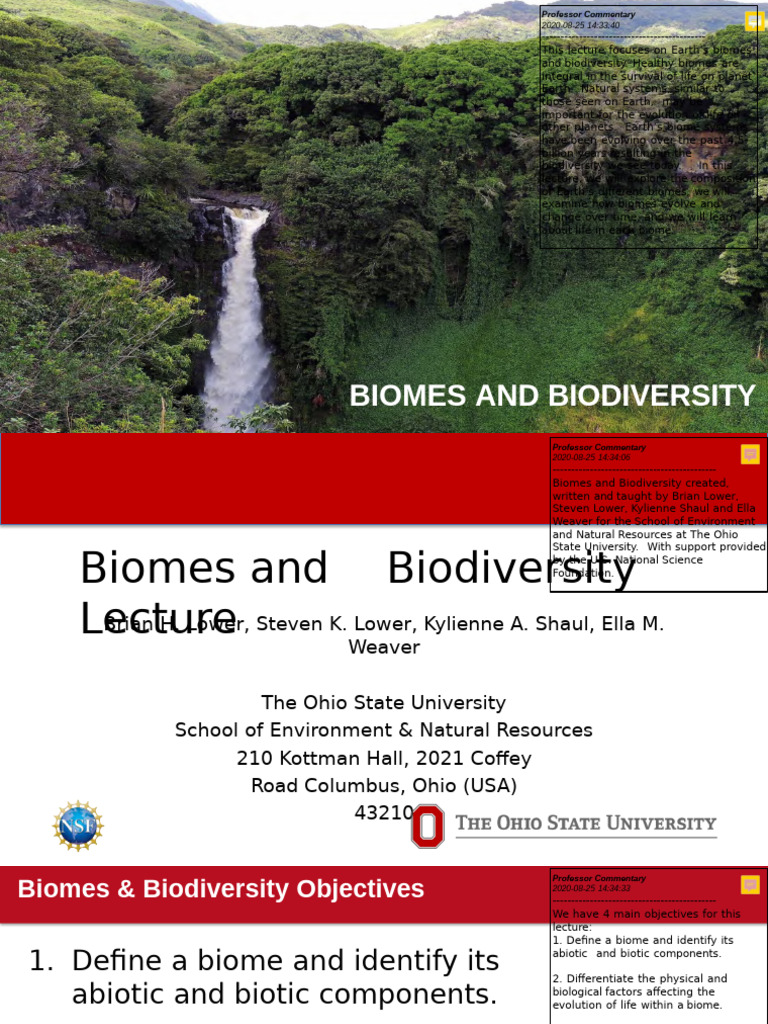 Bio Me S Biodiversity | PDF | Ecosystem | Equator