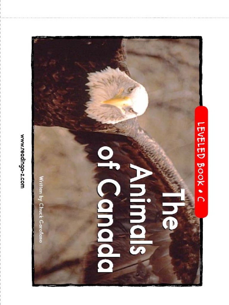 pdf24 - Converted Pages 3 Pages 37 | PDF