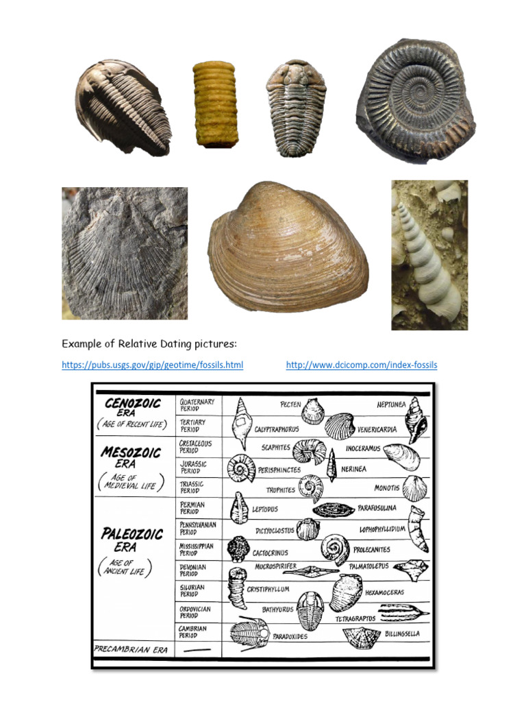 EvidenceofEvolutionStations STUDENT | PDF | Homology (Biology) | Evolution