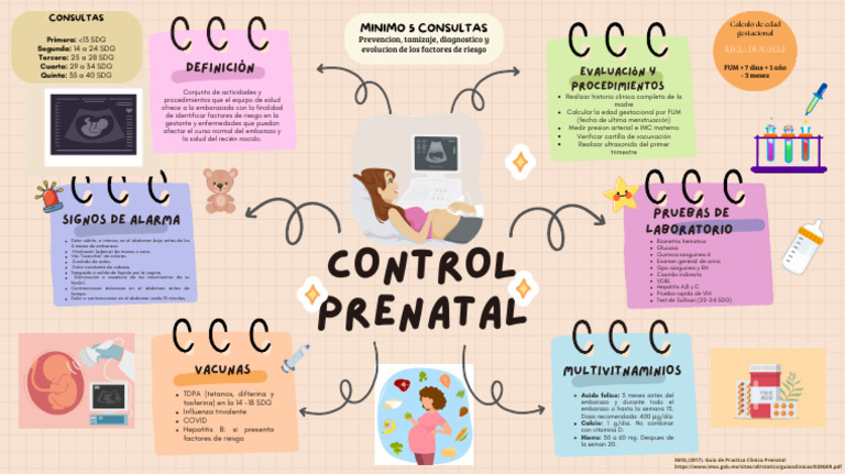 Mapa Mental - Control Prenatal | PDF
