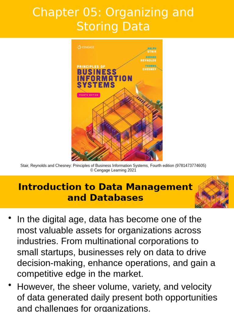 Chapter 5 Slides - Updated | PDF | Databases | Business Intelligence