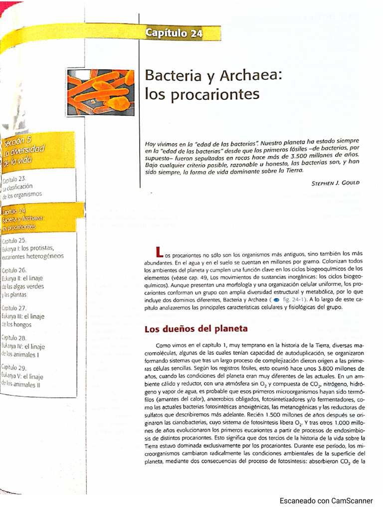 Bacteria y Archaea - Curtis | PDF