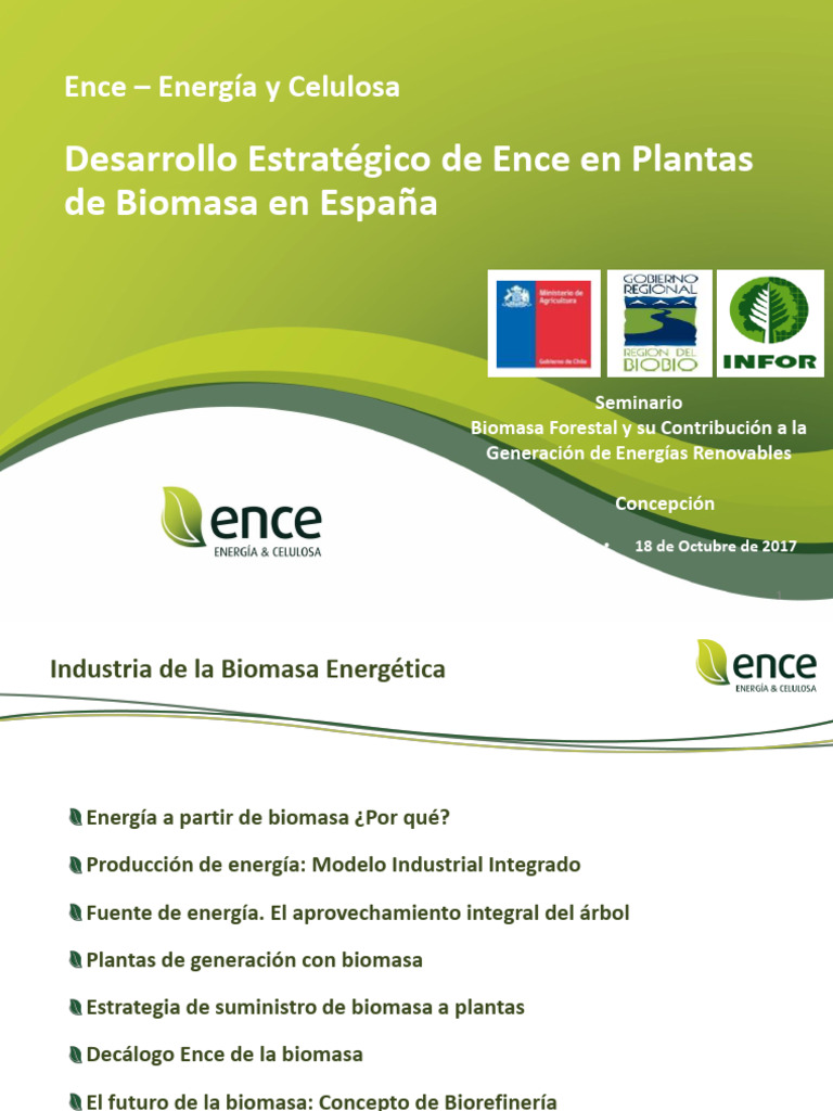 14 Presentacion ENCE Desarrollo Plantas de Biomasa | PDF | Biomasa | Energía renovable
