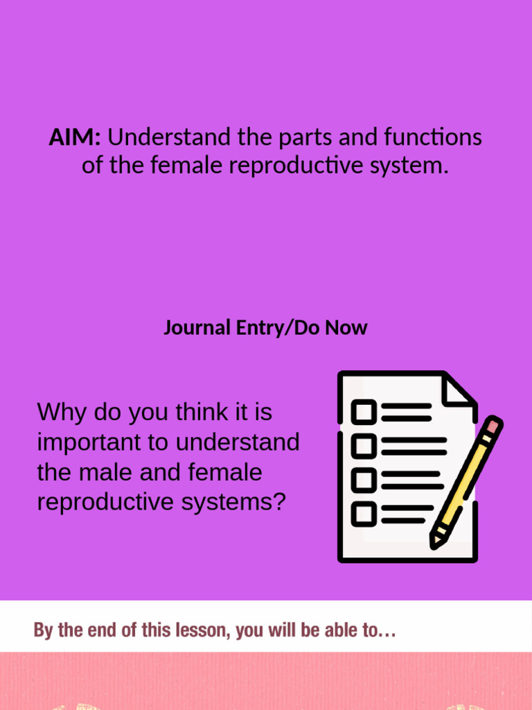 Female Reproductive System Overview | PDF | Human Reproduction | Uterus