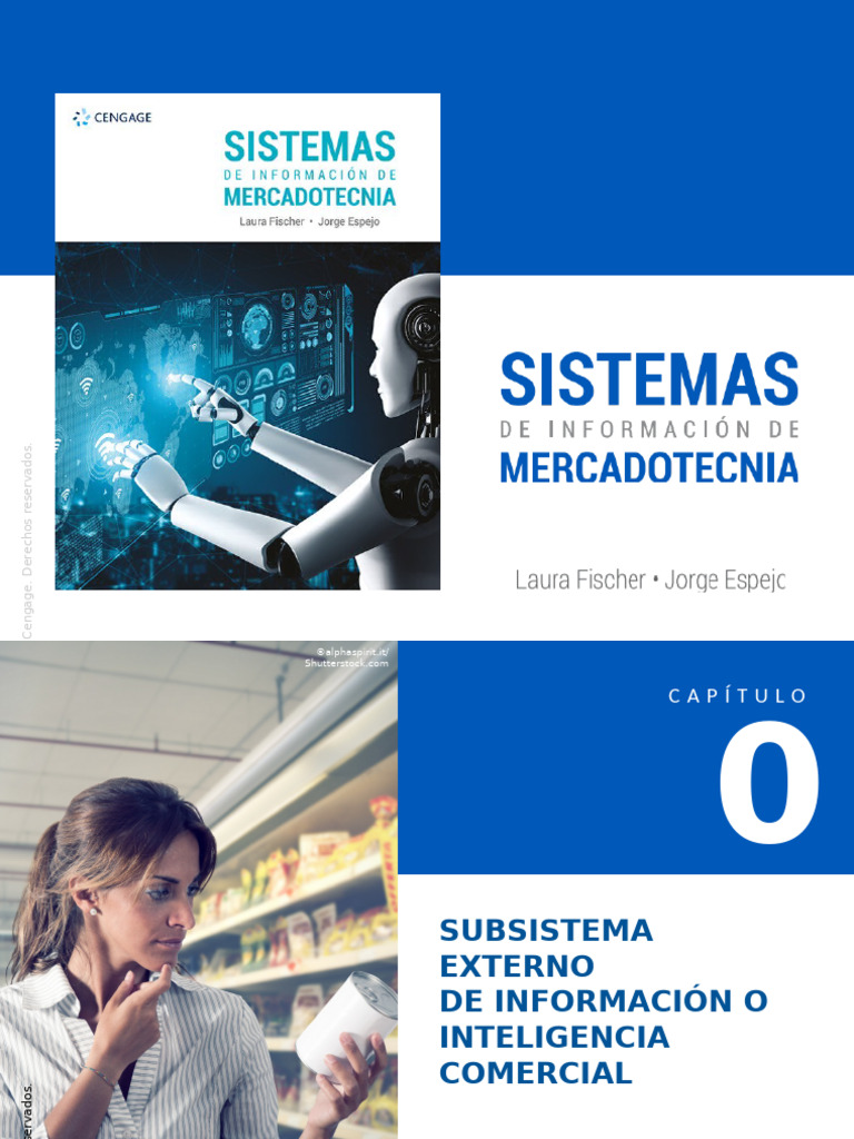 Fischer Cap03 | PDF | Internet | Información