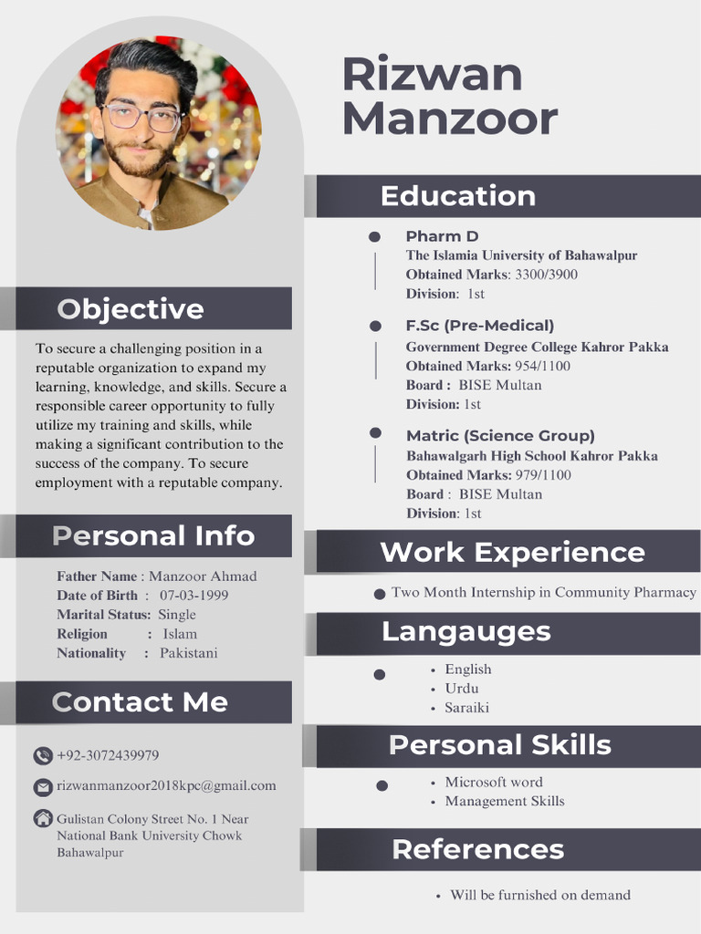 Rizwan CV | PDF