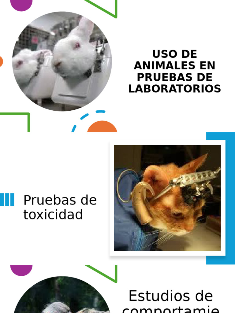 Uso de Animales en Pruebas de Laboratorio | PDF