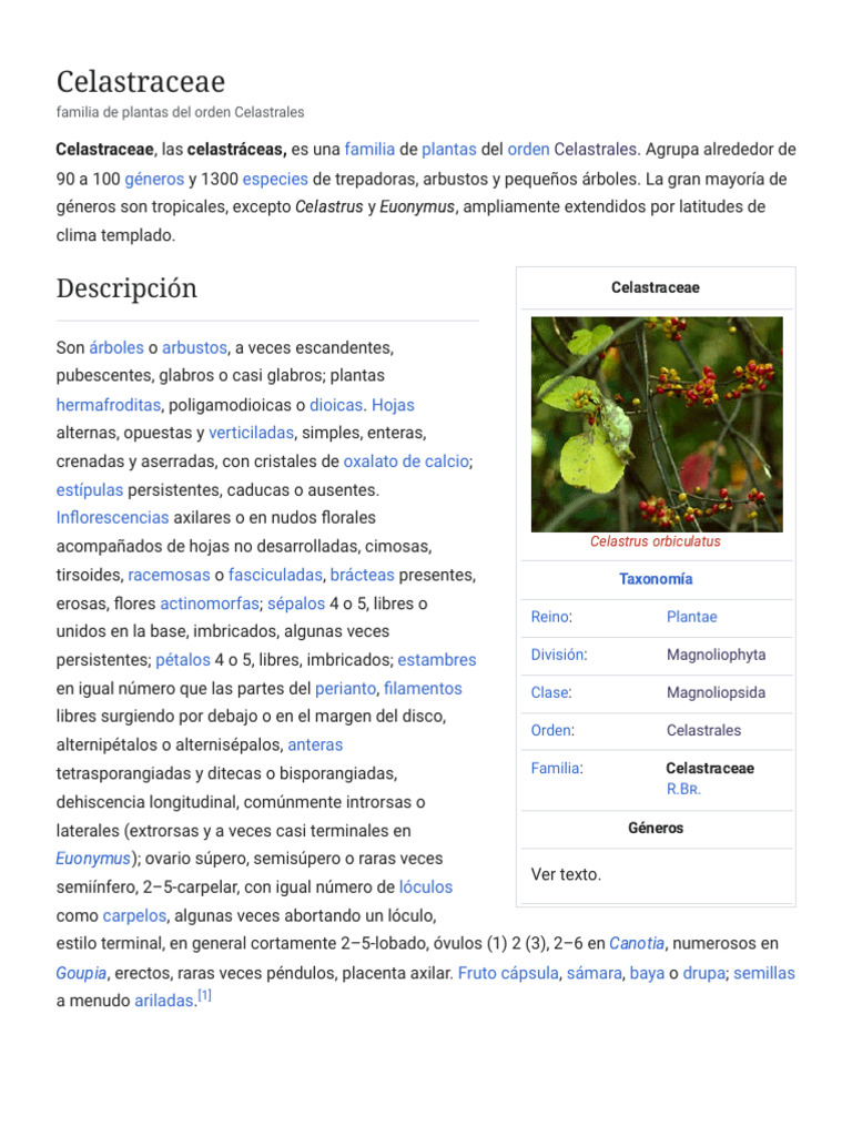 Familia de plantas Celastraceae | PDF