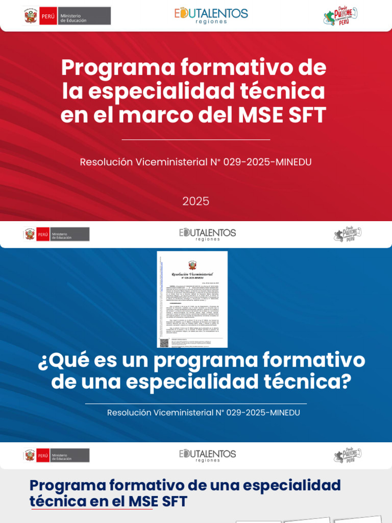 Programa Formativo MSE SFT - 2025 | PDF | Plan de estudios | Educación primaria