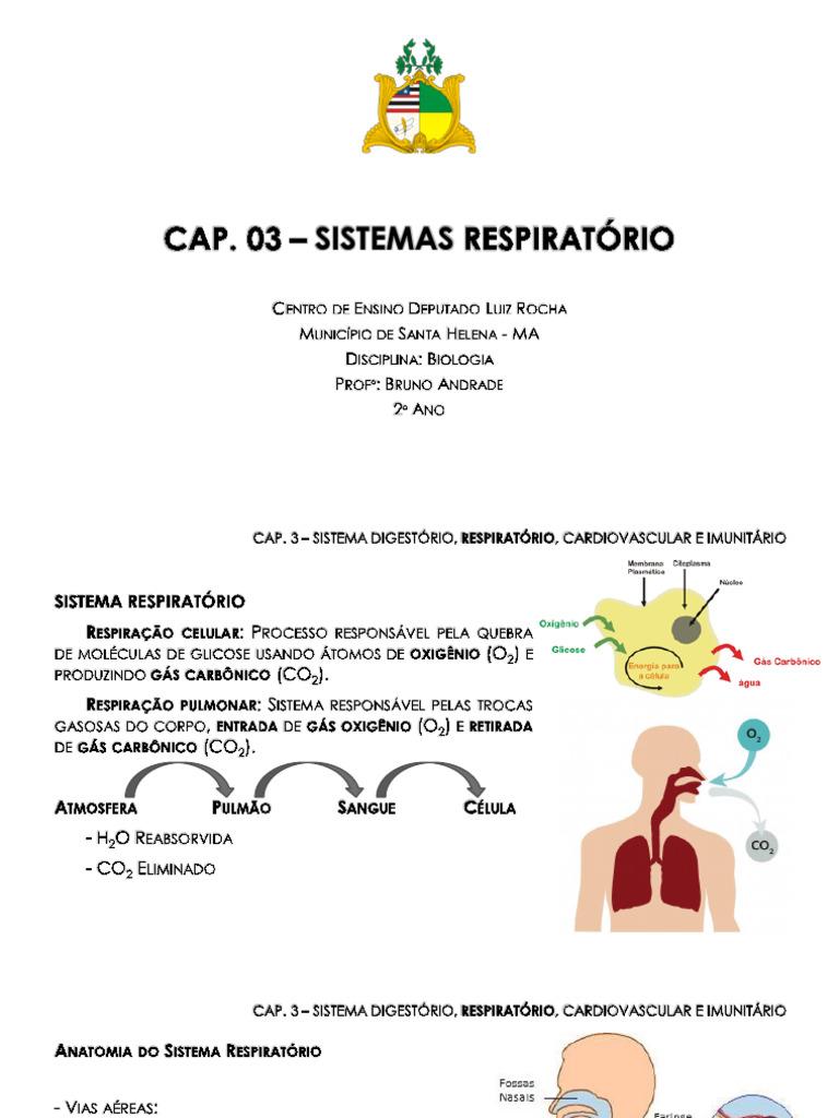 Resumo Prof Bruno Andrade Cap. 03 - Sistemas Respiratório | PDF