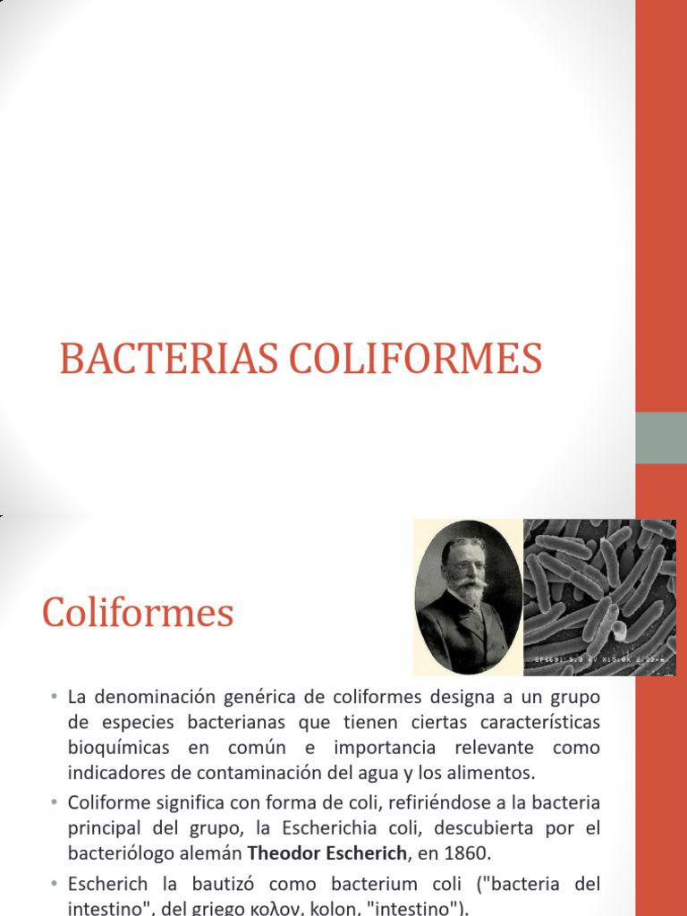 9 Recuento de Coliformes | PDF | Microbiología | Las bacterias