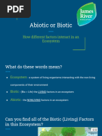 Worksheet - Biotic and Abiotic Factors | PDF