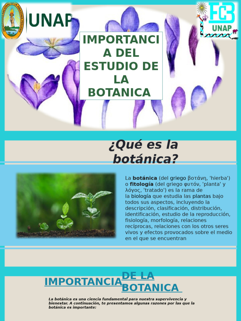 Importancia del Estudio de la Botánica | PDF | Botánica | Plantas