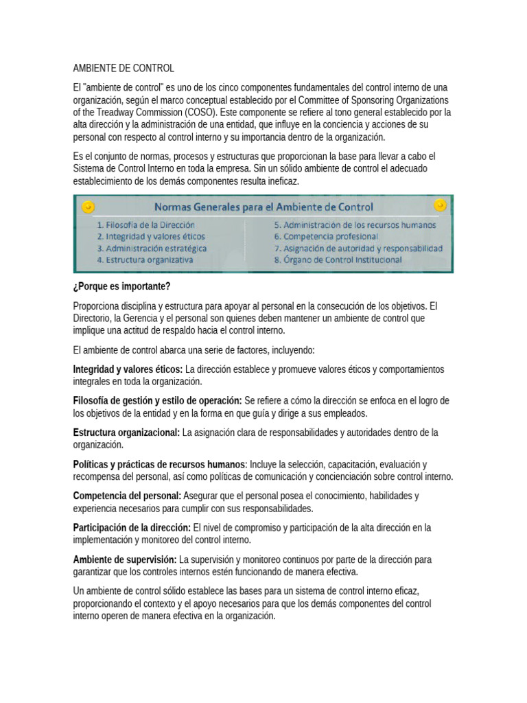 Ambiente de Control | PDF | Business