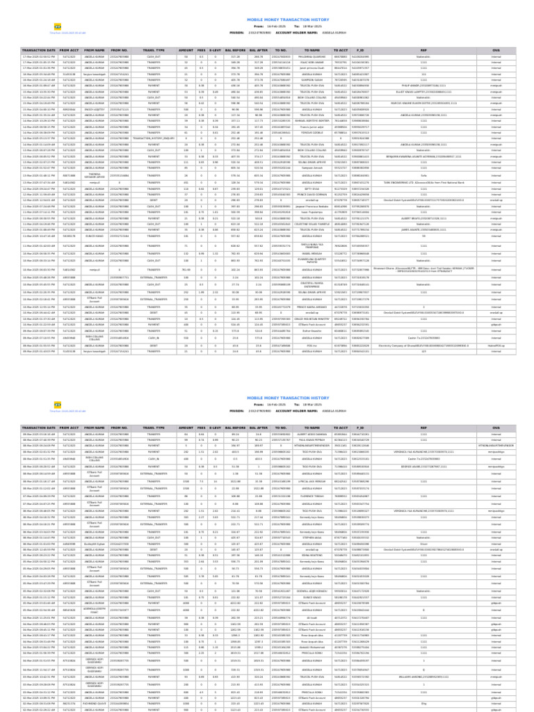 Momo Statement Report | PDF | Banking