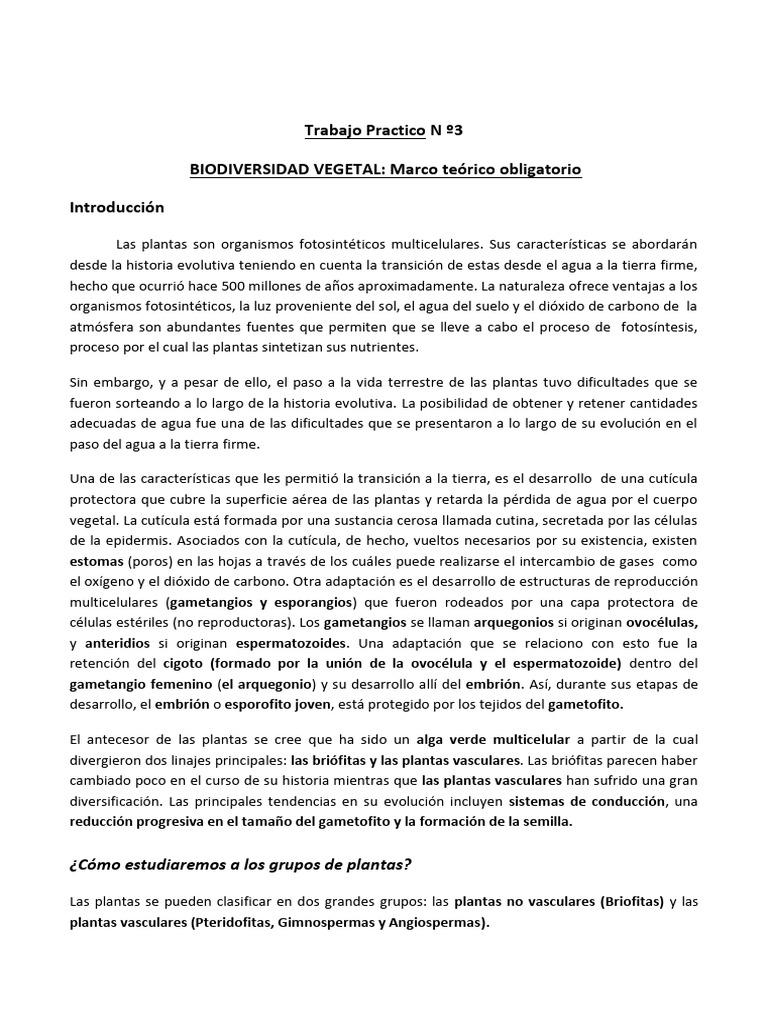 Trabajo Practico N º 3 Biodiversidad Vegetal 2024 | PDF | Plantas | Flores