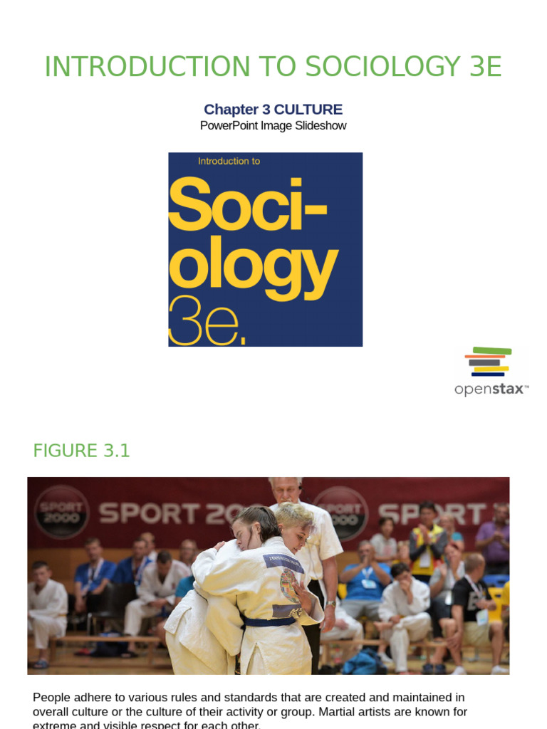 IntroductiontoSociology3e Ch03 | PDF | Innovation | Creative Commons ...