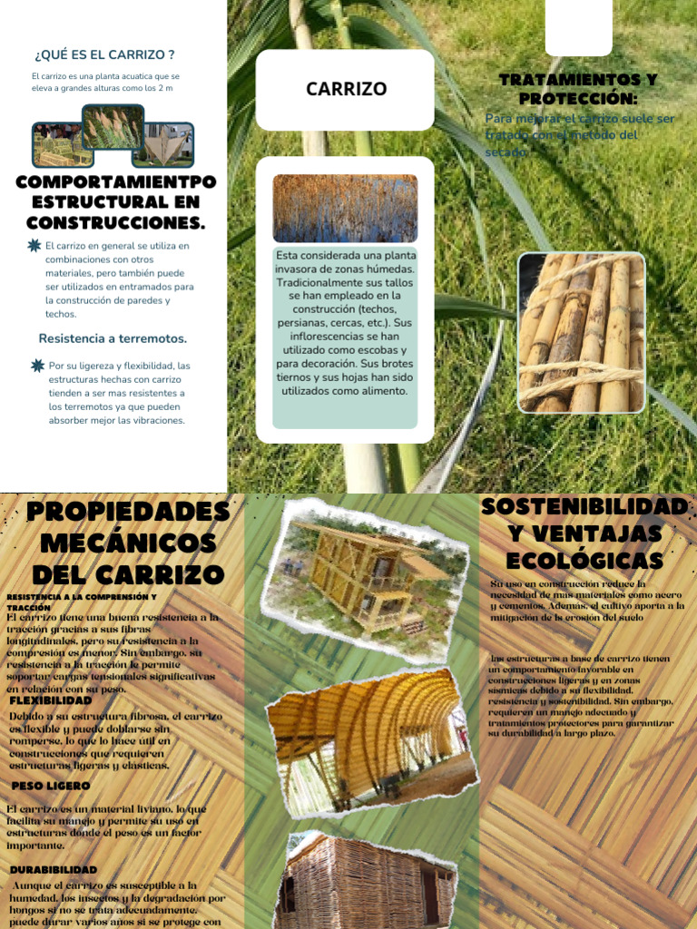 Comportamiento del Carrizo en Construcción | PDF | Materiales ...