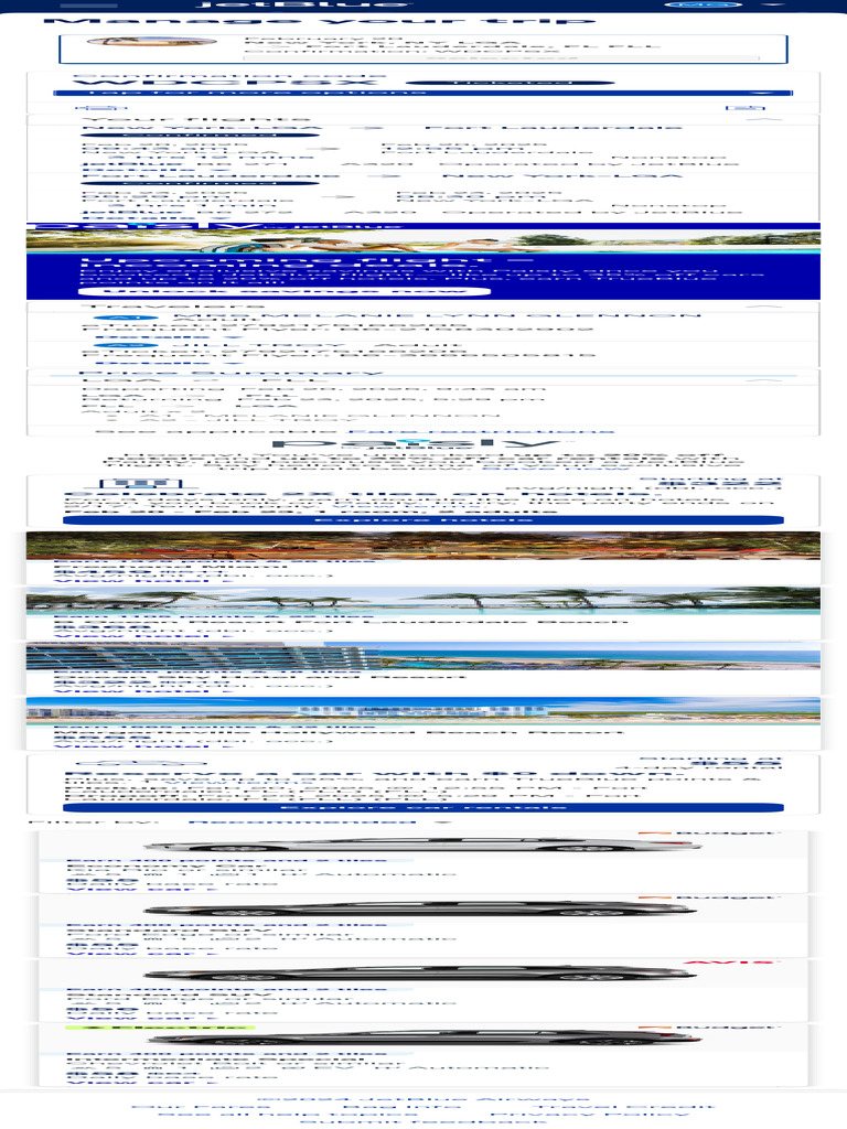 JetBlue - Trip Review | PDF | Car | Vehicles