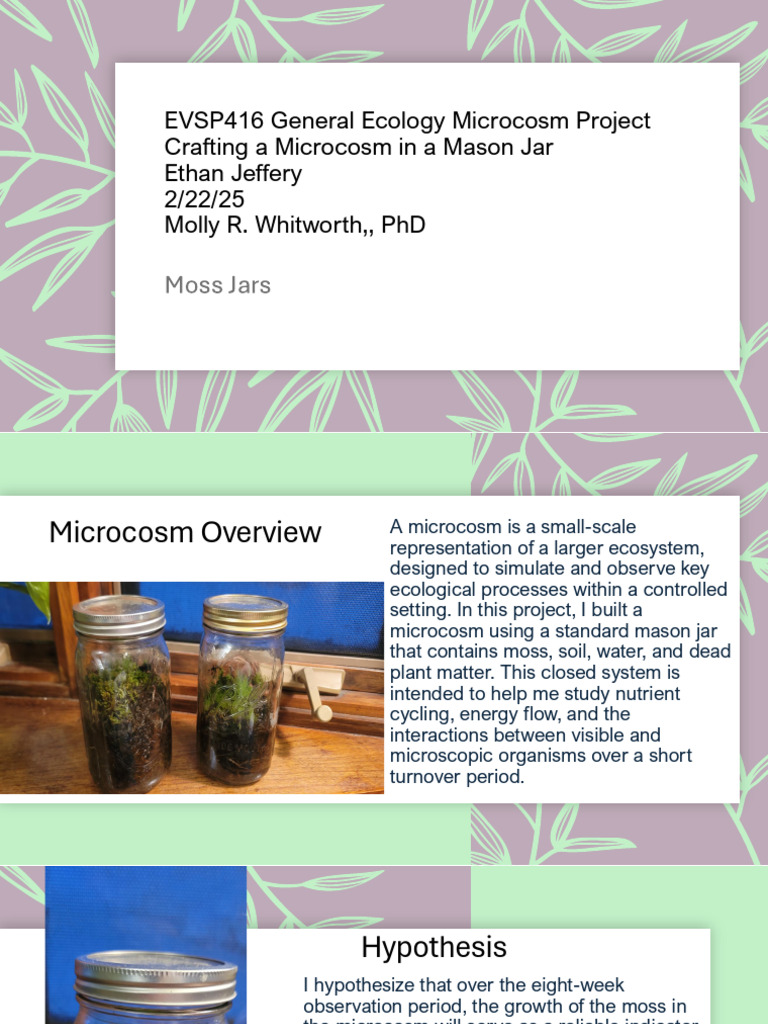 Moss Microcosm Presentation | PDF | Ecosystem | Ecology