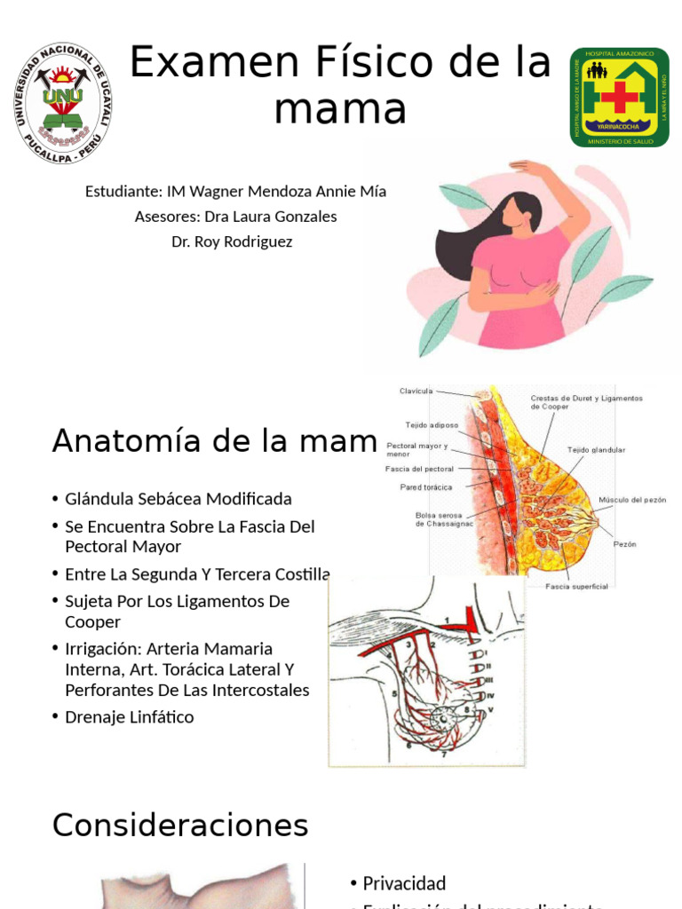 Guía del Examen Físico de Mama | PDF | Pecho | Tórax