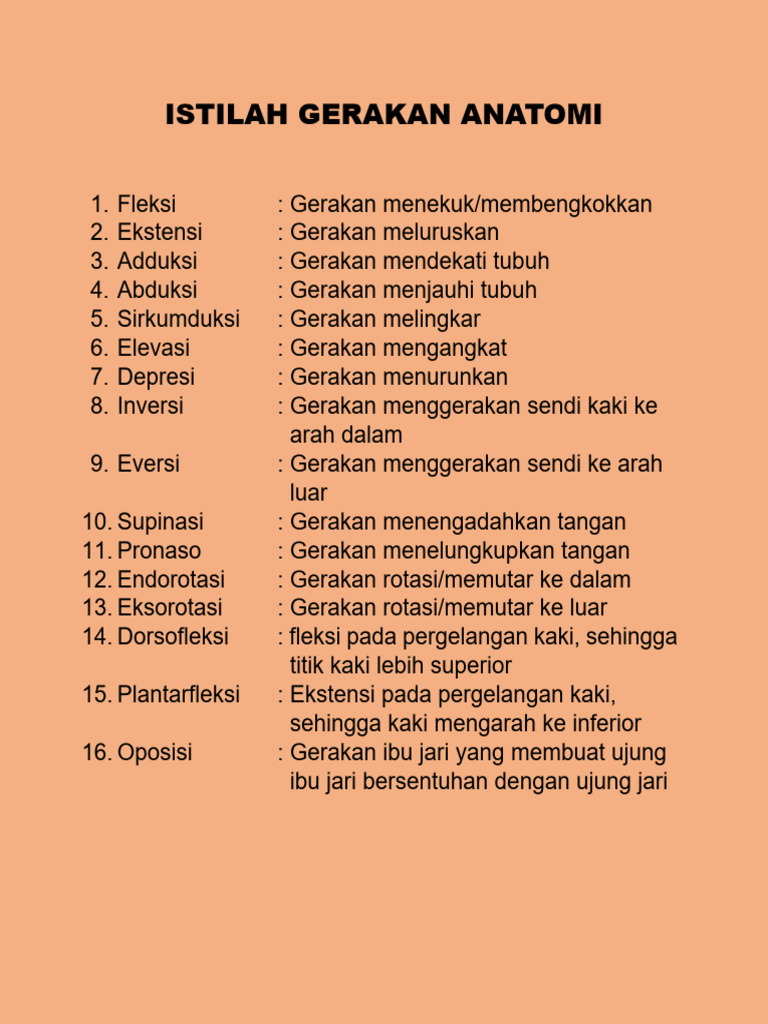 Istilah Gerakan Anatomi | PDF
