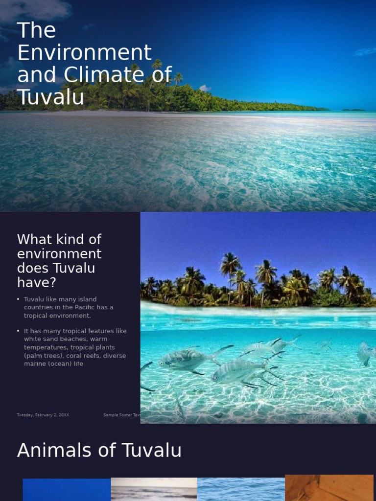 Coralie Nicholas - The Environment and Climate of Tuvalu | PDF ...