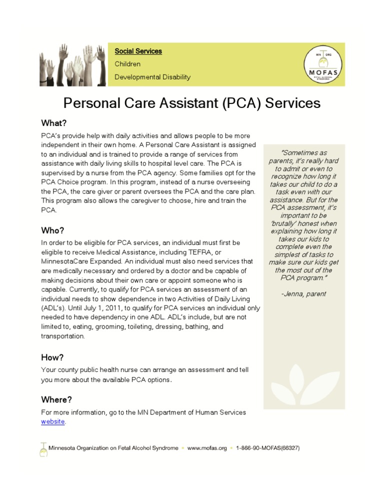 Personal Care Assistant Services | PDF