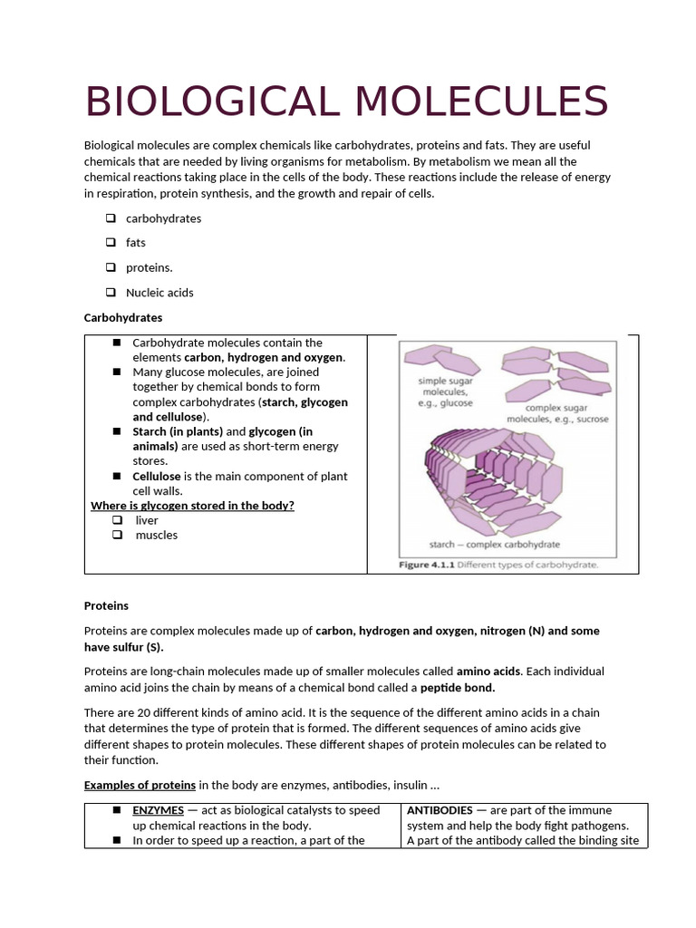 Biological Molecules | PDF