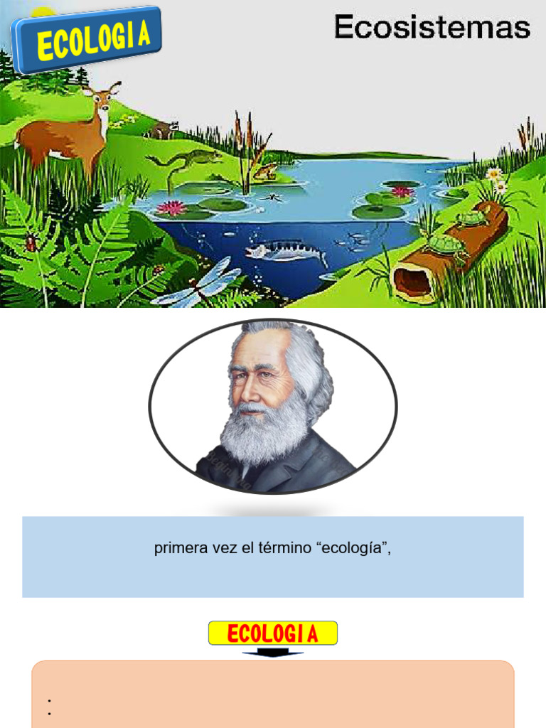 1 Ecología, Relaciones y Sucesiones Ecolog | PDF | Ecología | Dispersión biológica