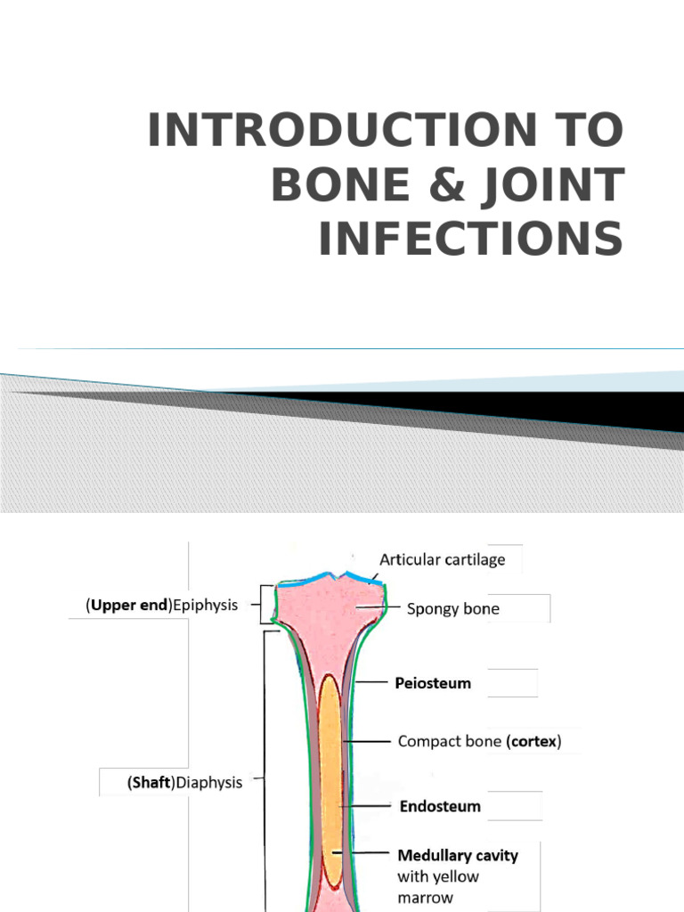 Introduction To Bone & Joint Infections | PDF | Infection | Biofilm