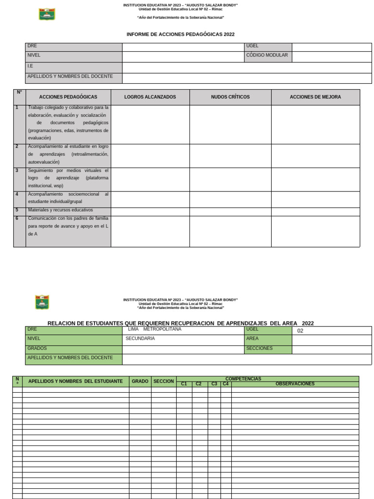 Formatos de Informes de Fin de Año 2022 | PDF | Aprendizaje | Pedagogía
