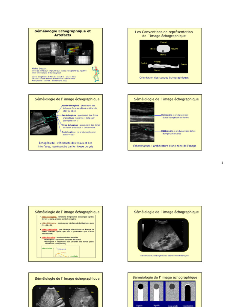 Semiologie Echo | PDF