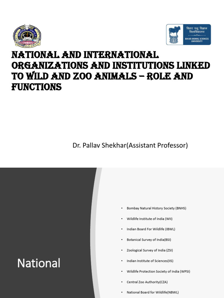 Wildlife Conservation Organizations Overview | PDF | International ...