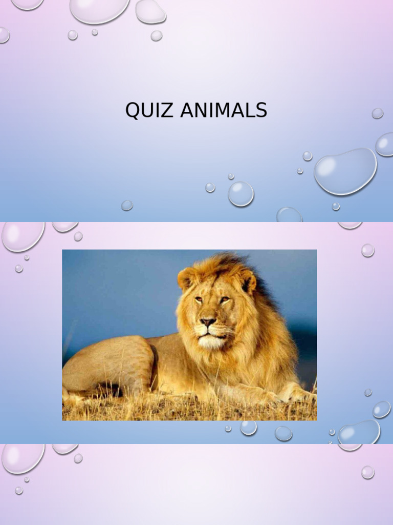 Quiz Animals | PDF