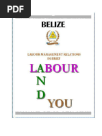 Belize Labor Laws Overview 2024 | PDF | Sick Leave | Overtime