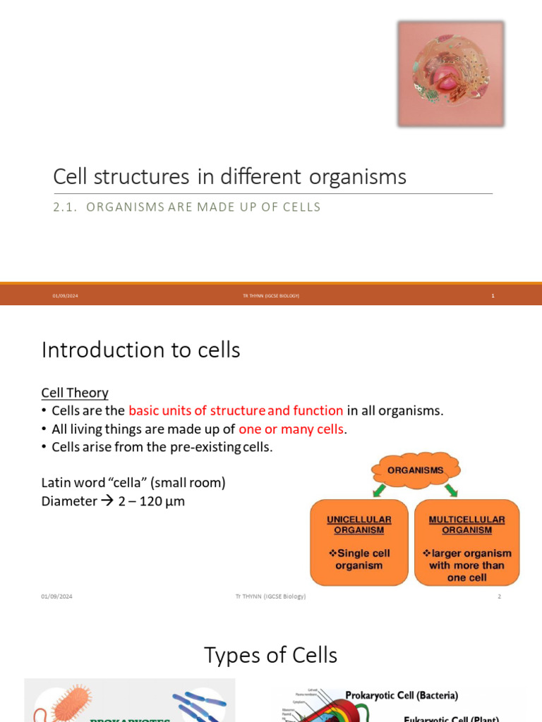 Biology CIE IGCSE Chapter 2 Cell Structures | PDF | Tissue (Biology ...