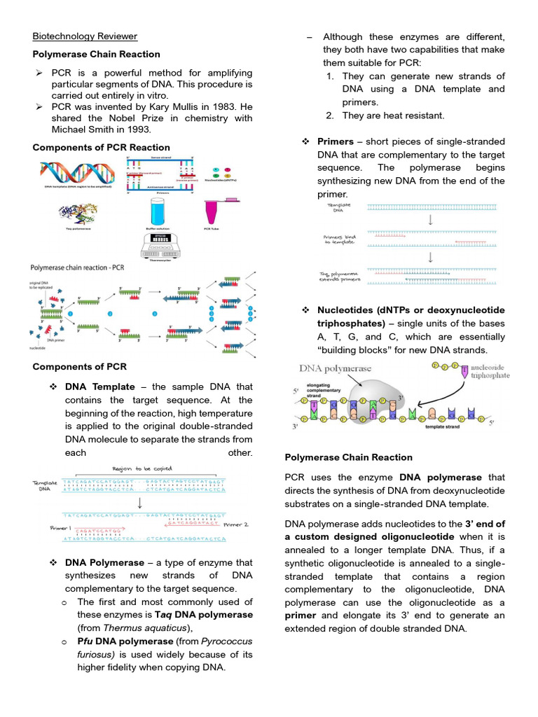 (Reviewer) Polymerase Chain Reaction - Biotech | PDF | Polymerase Chain Reaction | Real Time ...