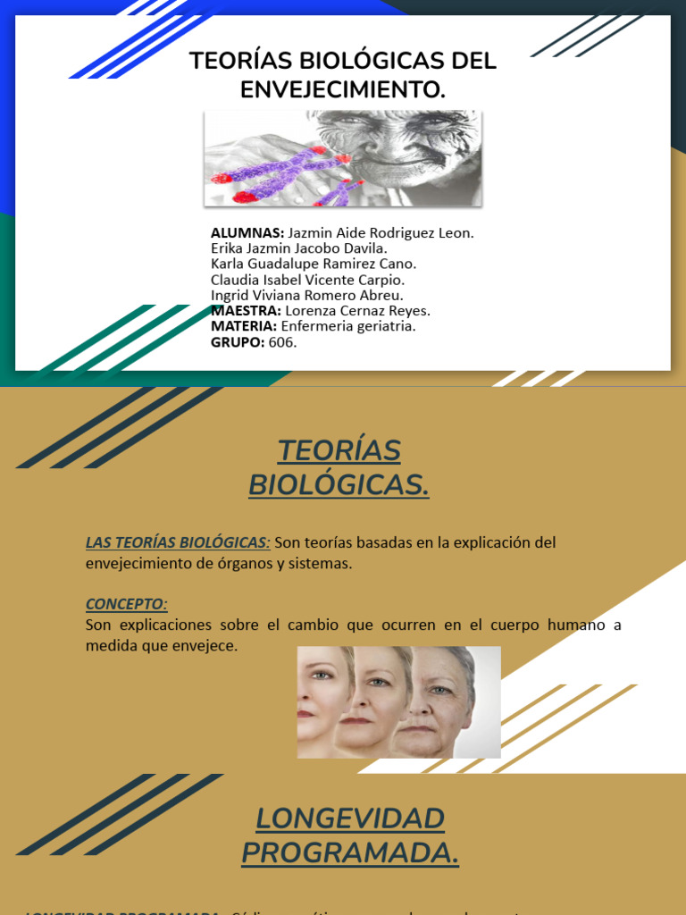 Teorías Biológicas | PDF | Sistema inmune | Envejecimiento