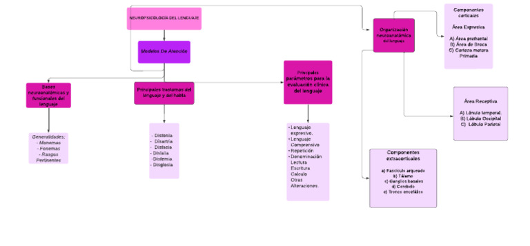 Mapa conceptual 2 | PDF | Lóbulo temporal | Ciencia cognitiva