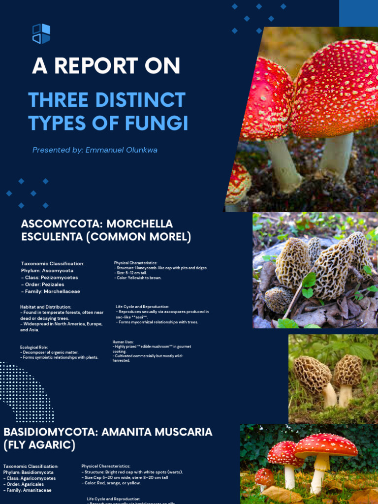 A Report on | PDF | Fungus | Mycology