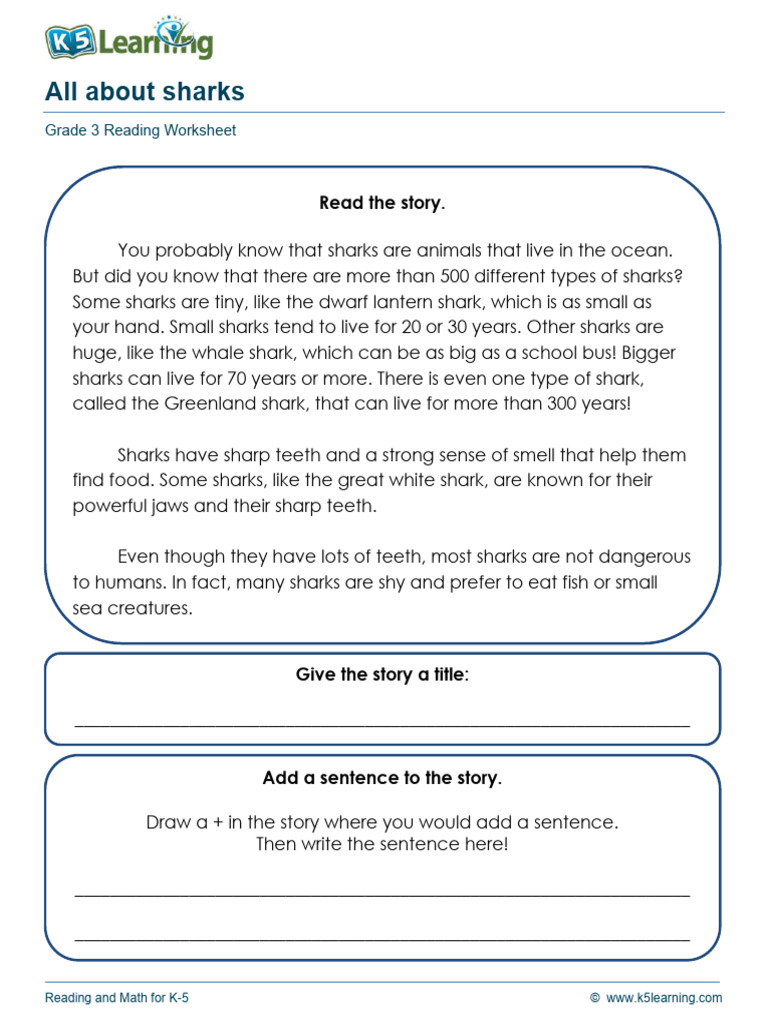 Shark Facts for Grade 3 Students | PDF | Sharks | Predators