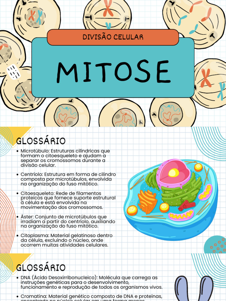 Mitose | PDF | Mitose | Célula (Biologia)