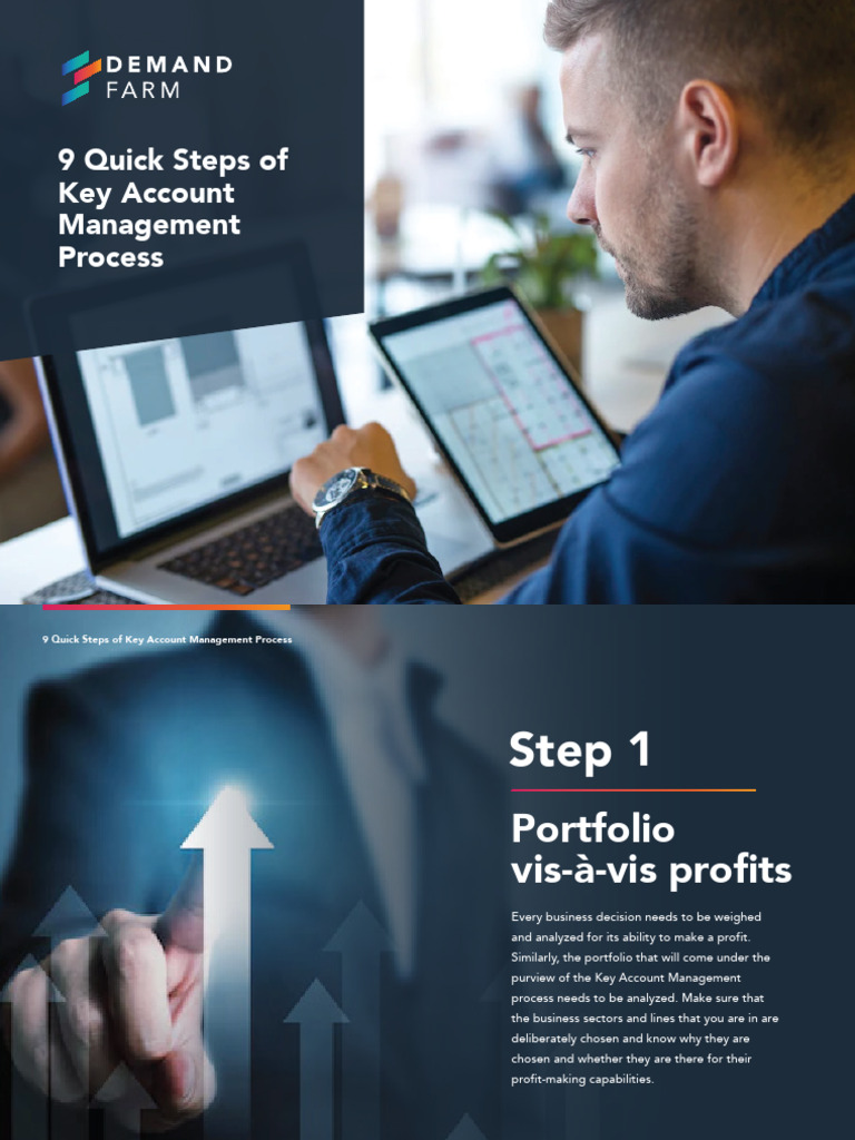 Key Account Management Process Steps | PDF | Audit | Business