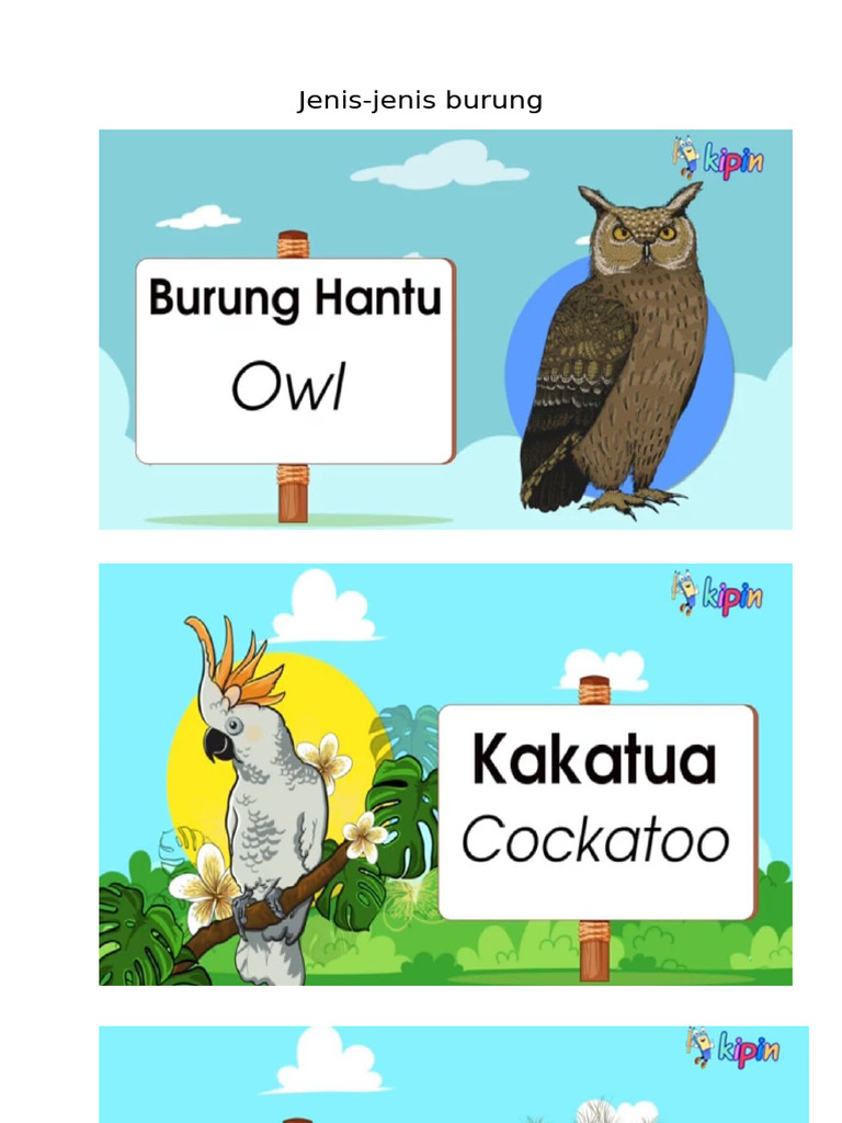 Penjelasan Burung | PDF