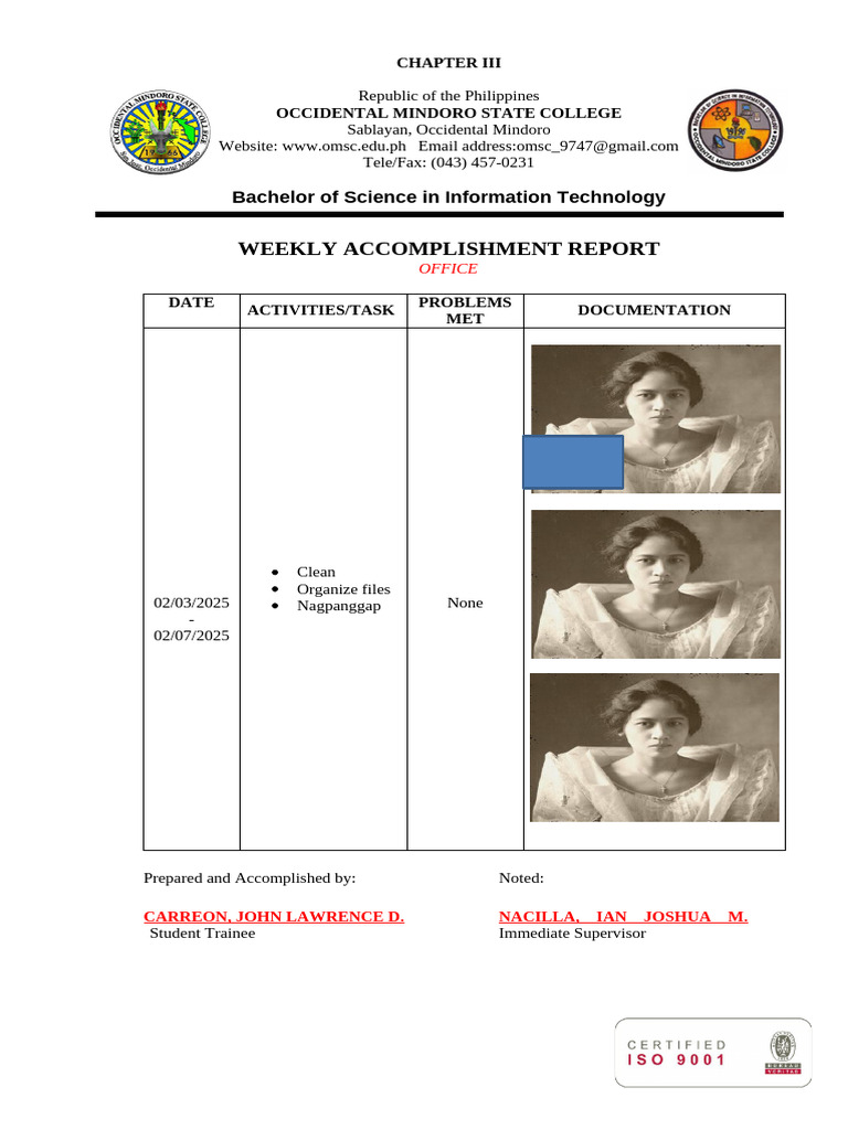 Weekly Accomplishment | PDF