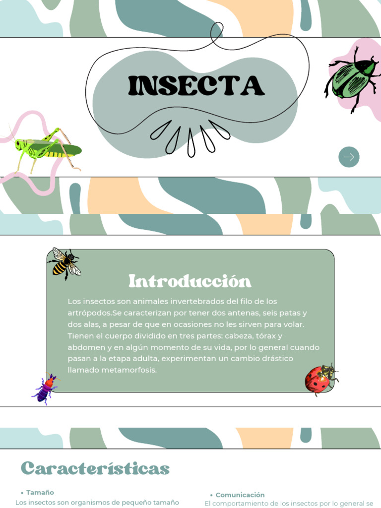 Presentación de Proyecto Psicología Infantil Retro Verde | PDF | Insectos | Lepidópteros