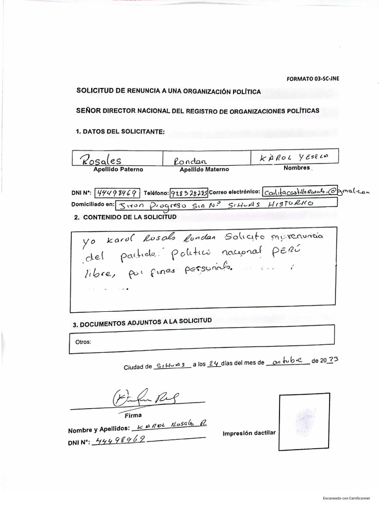 Modelo de Llenado | PDF