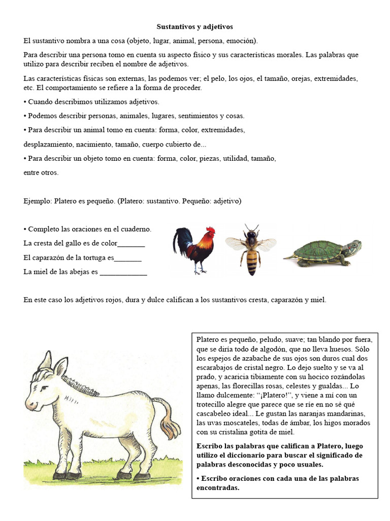 Sustantivos y adjetivos en descripciones | PDF | Adjetivo