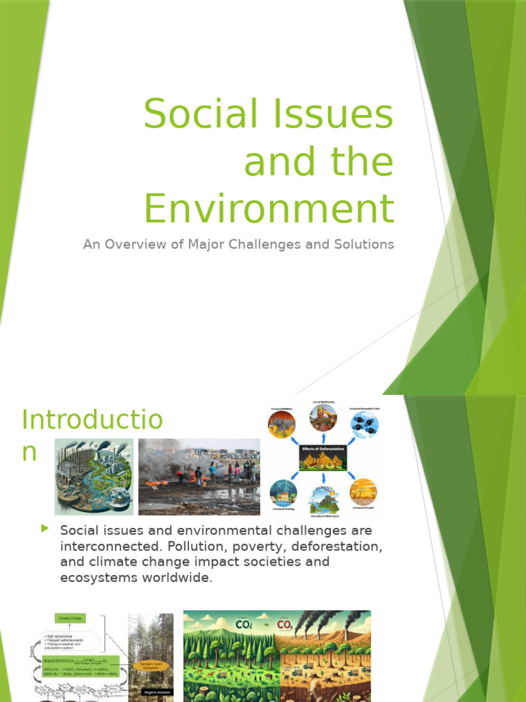 Social Issues and Environment | PDF
